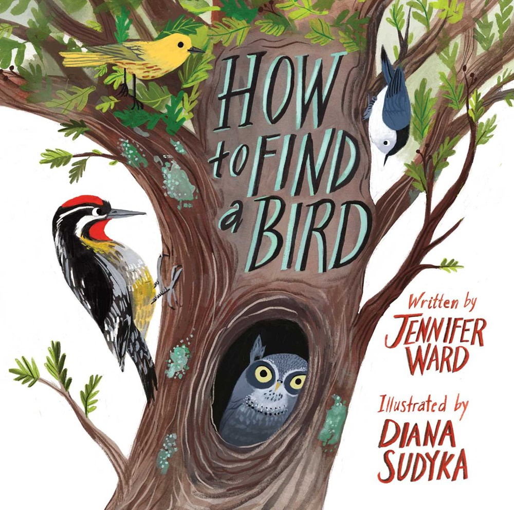 The Horn Book | How to Find a Bird