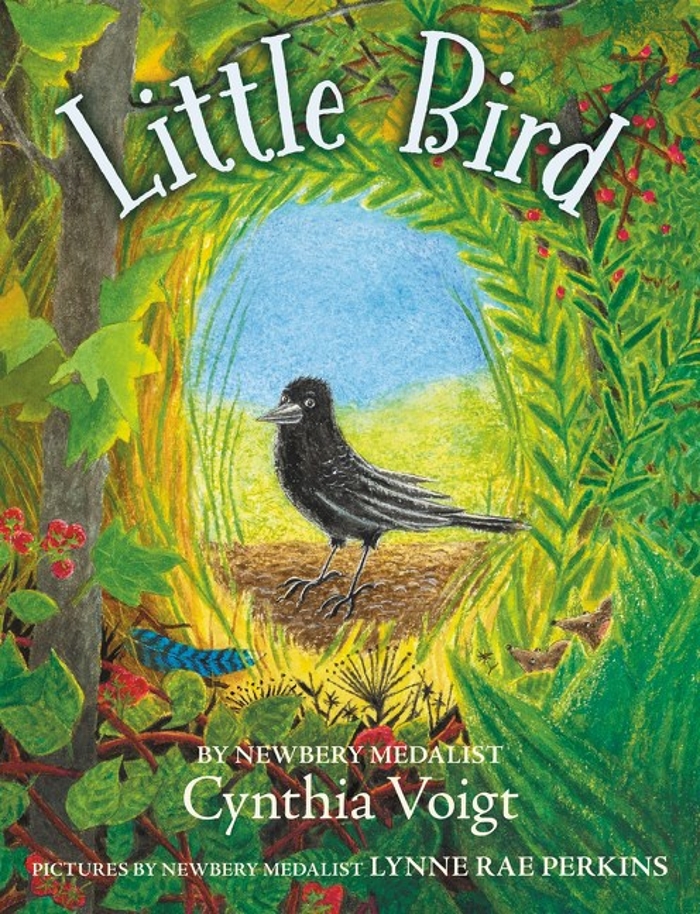 The Horn Book | Review of Little Bird