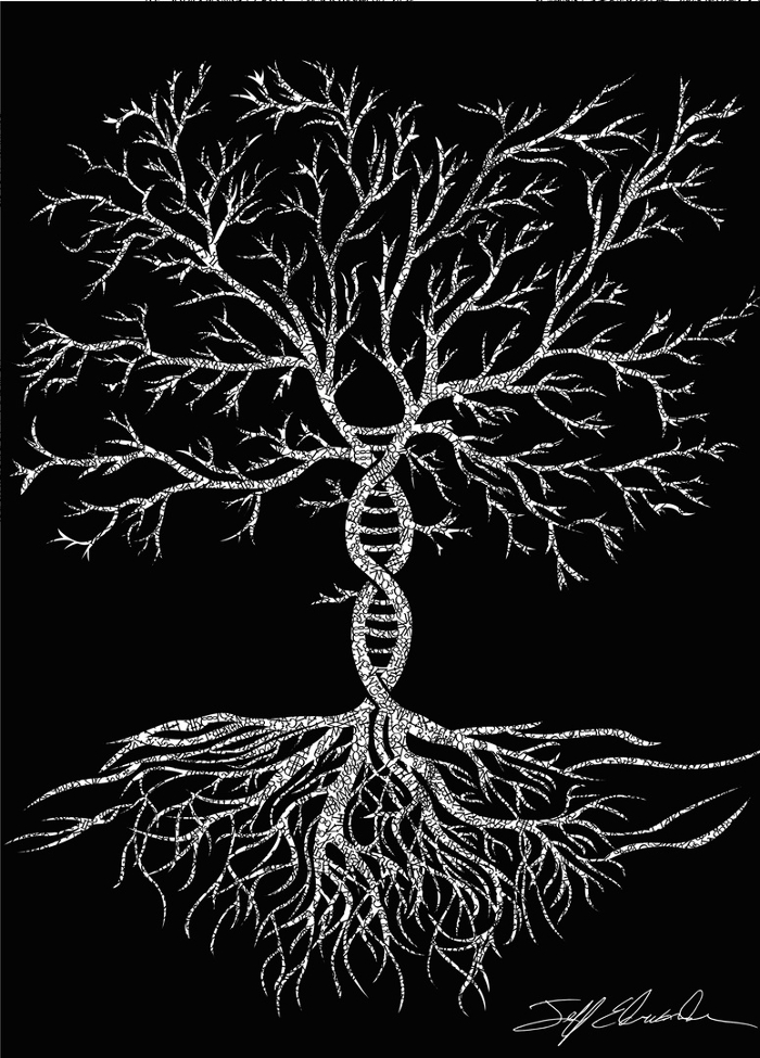 The Horn Book | Seeing Ourselves: Cherokee DNA Tree of Life: Our Syllabary